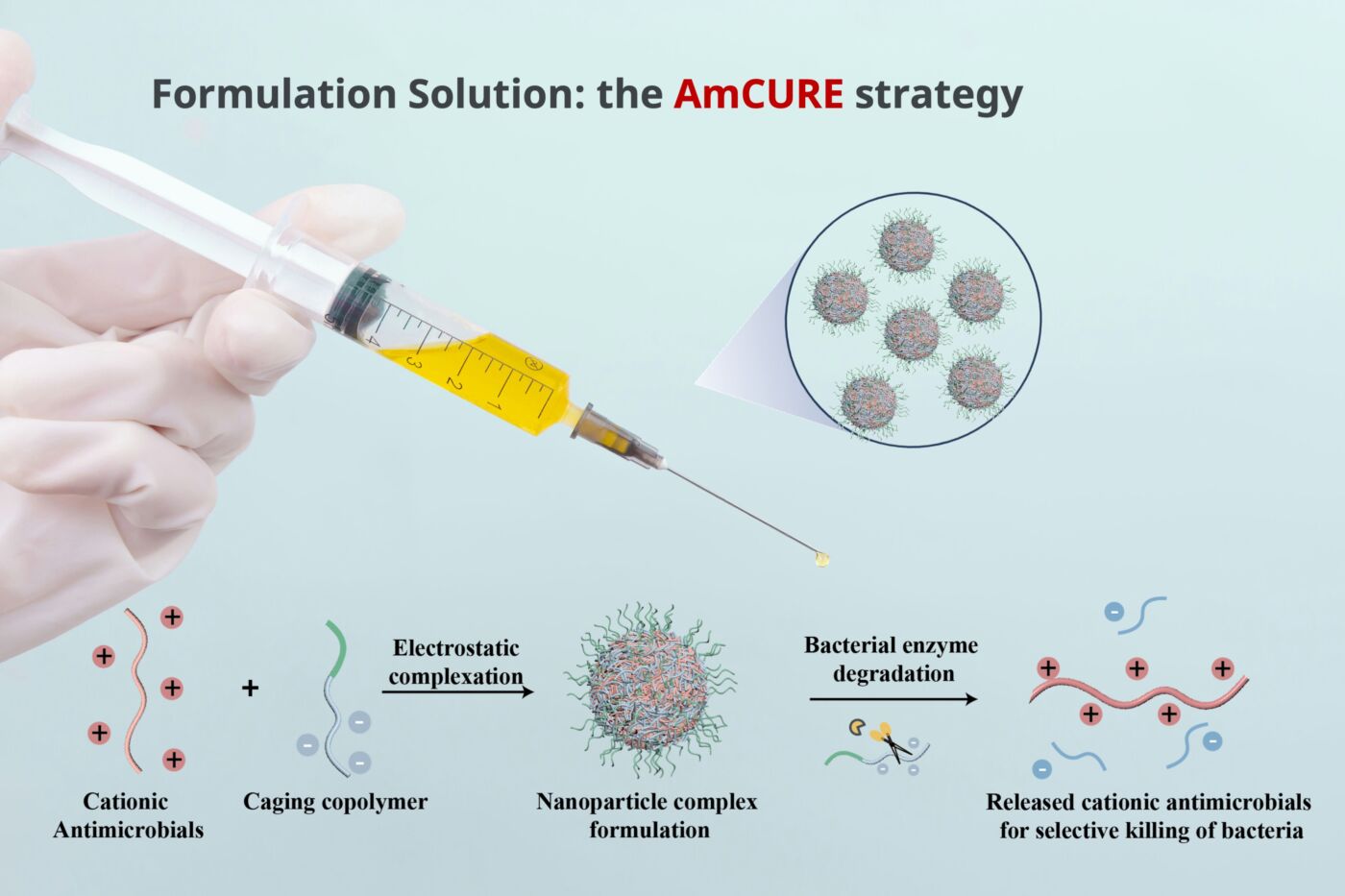 AmCURE Antibiotic – Prototypes for Humanity