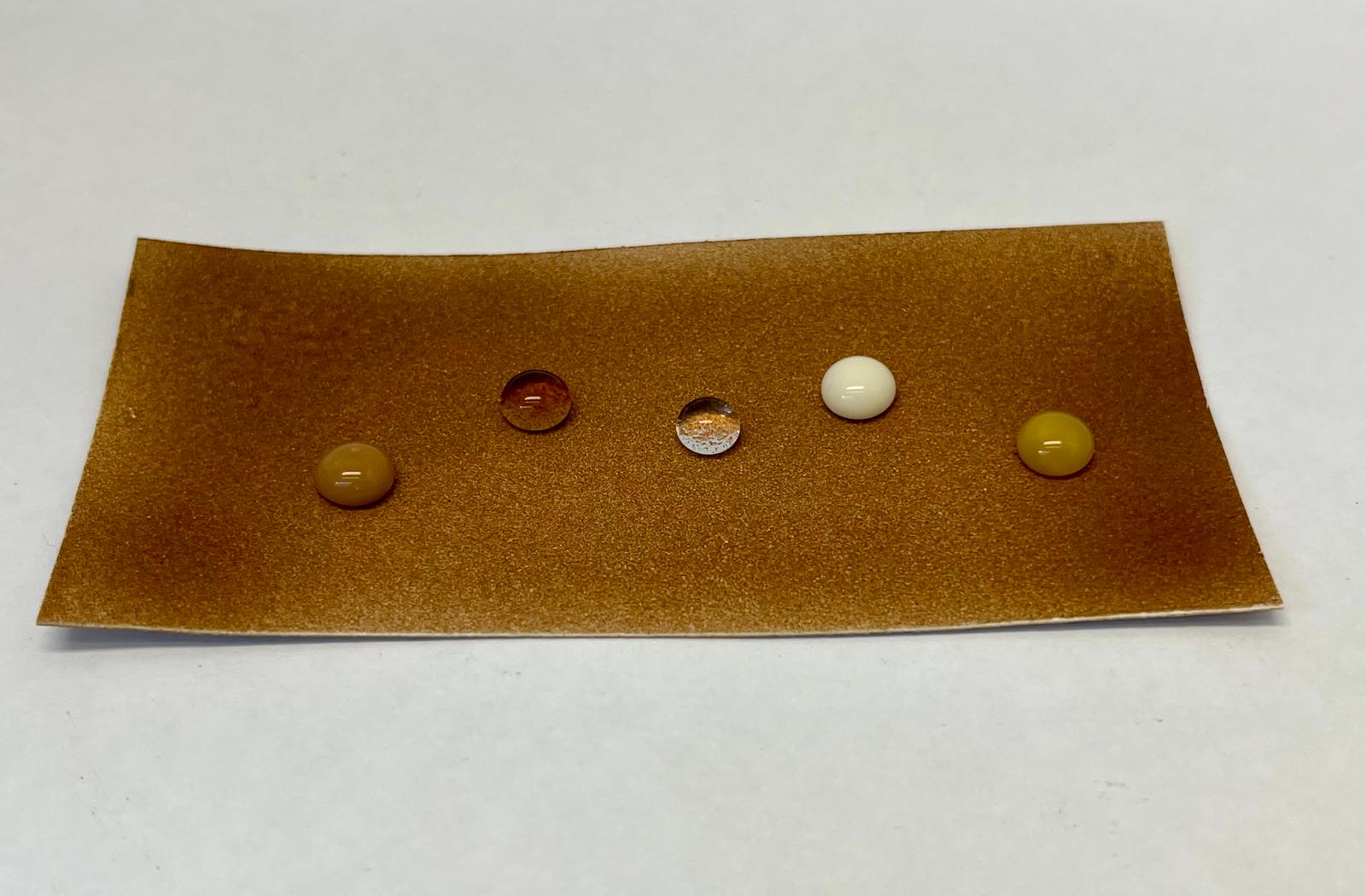 EcoBarrier Coatings – Prototypes for Humanity